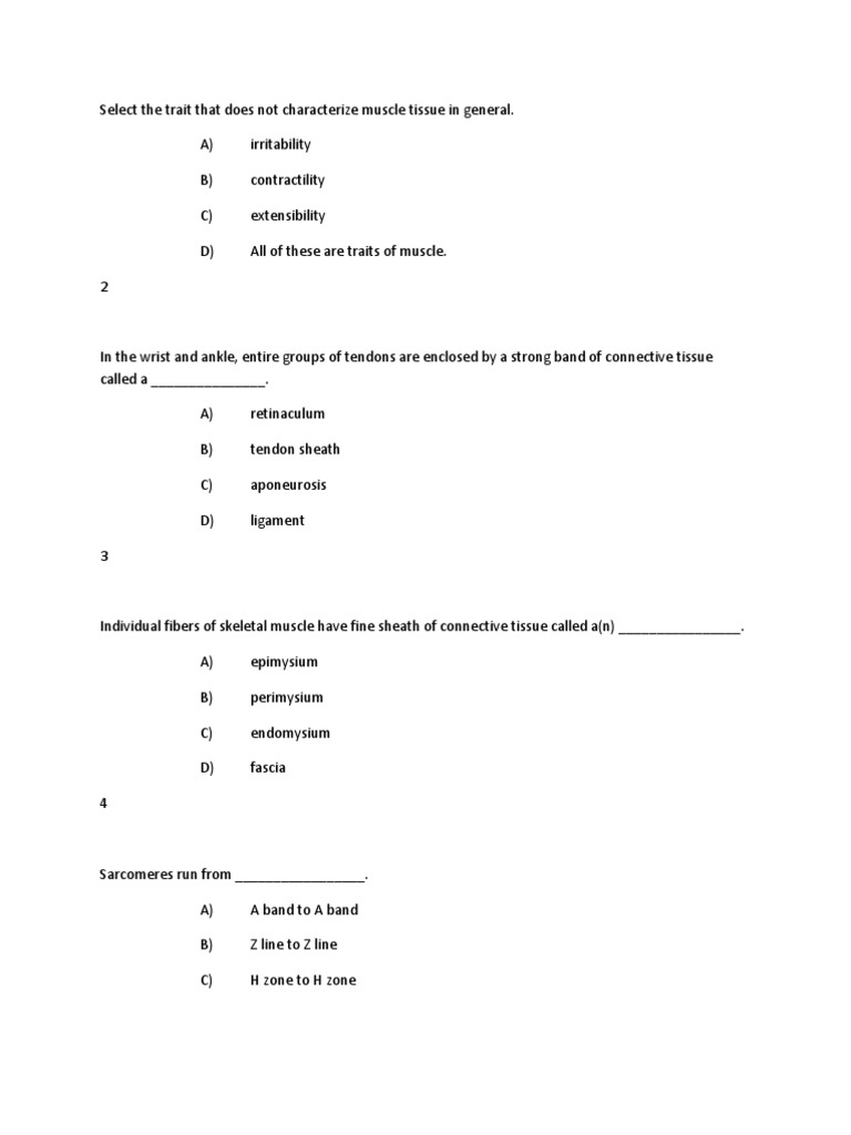 Muscle Quiz | PDF | Muscle Contraction | Myocyte