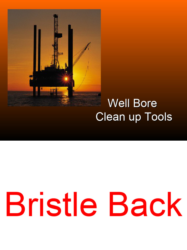 Well Bore Clean Up Tools 1 | PDF | Social Science | Young Adult