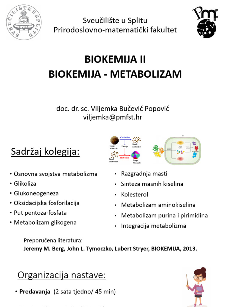 Osnove Metabolizma | PDF