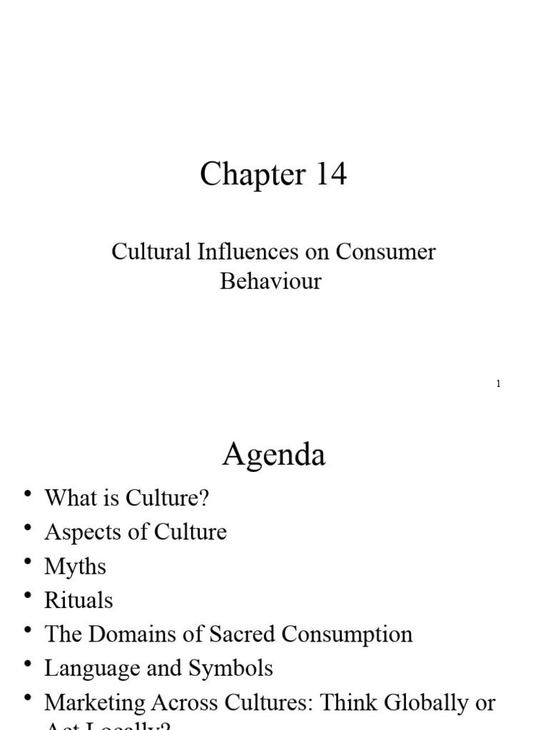 CB Chapter 14 Cultural Influences On Consumer Behaviour Sixth Edition | PDF