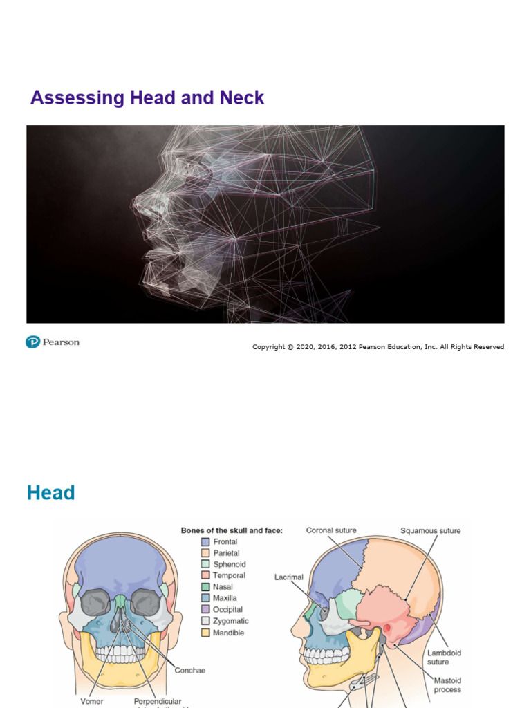 Lesson 5 | PDF | Human Eye | Traumatic Brain Injury