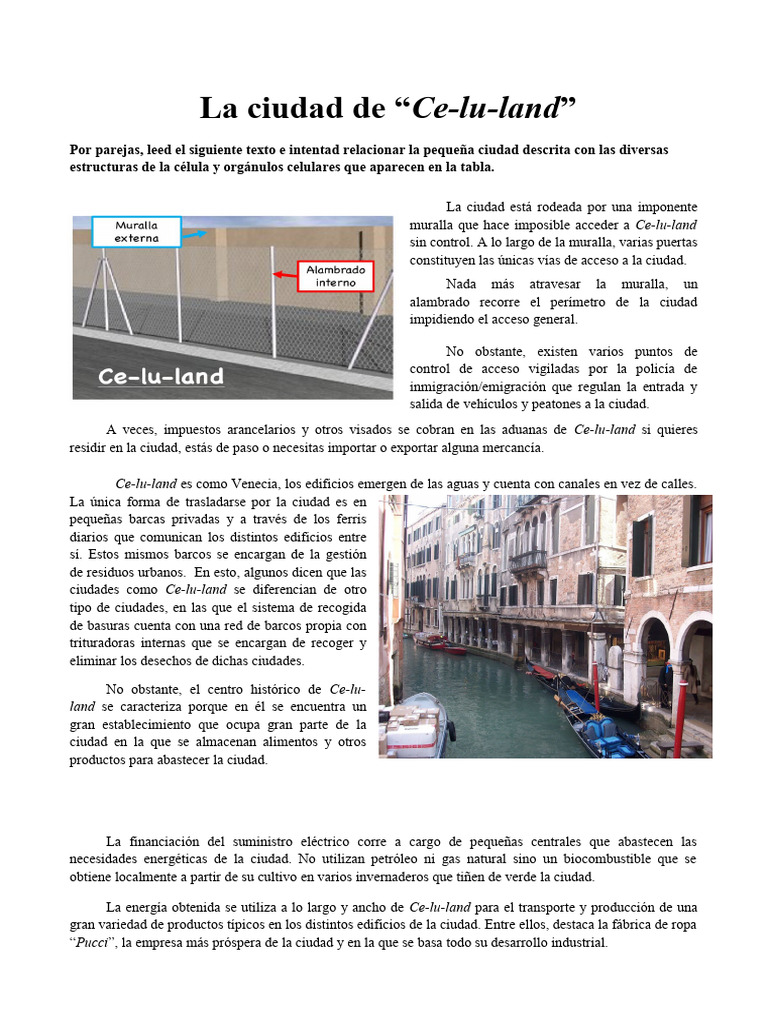 La Celula y La Ciudad de Ce Lu Land | PDF | Anatomía Celular | Anatomía