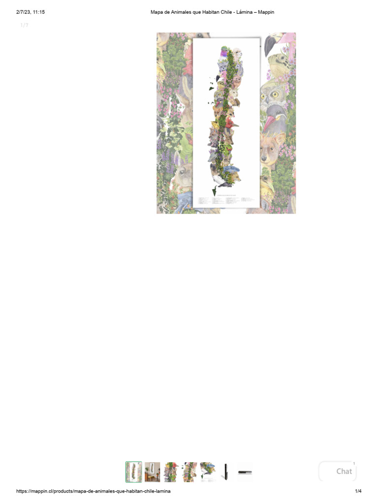 Mapa de Animales que Habitan Chile - Lámina – Mappin | PDF