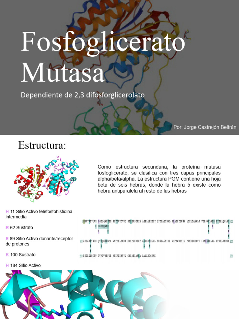 Fosfoglicerato Mutasa | Descargar gratis PDF | Sitio activo | Enzima