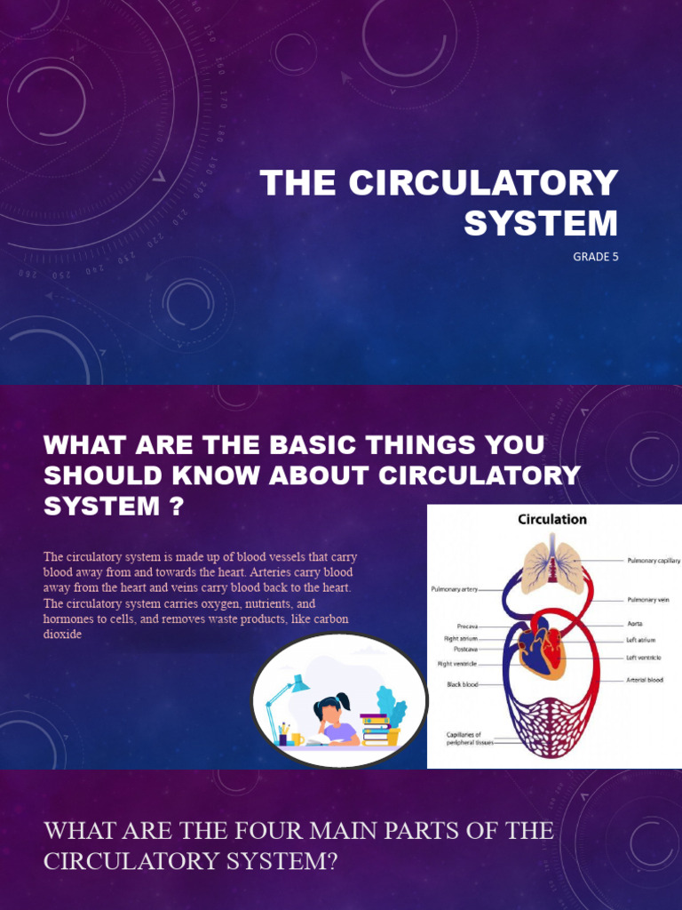 The Circulatory System Grade 5 | PDF