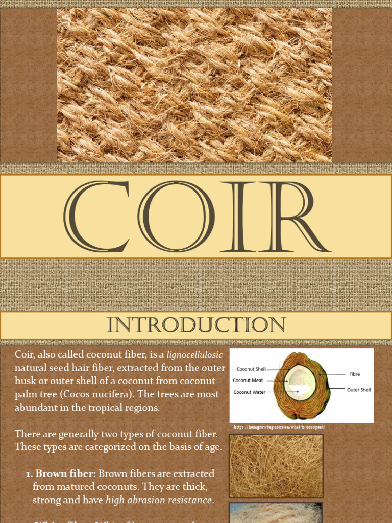 Coir | PDF | Coconut | Materials