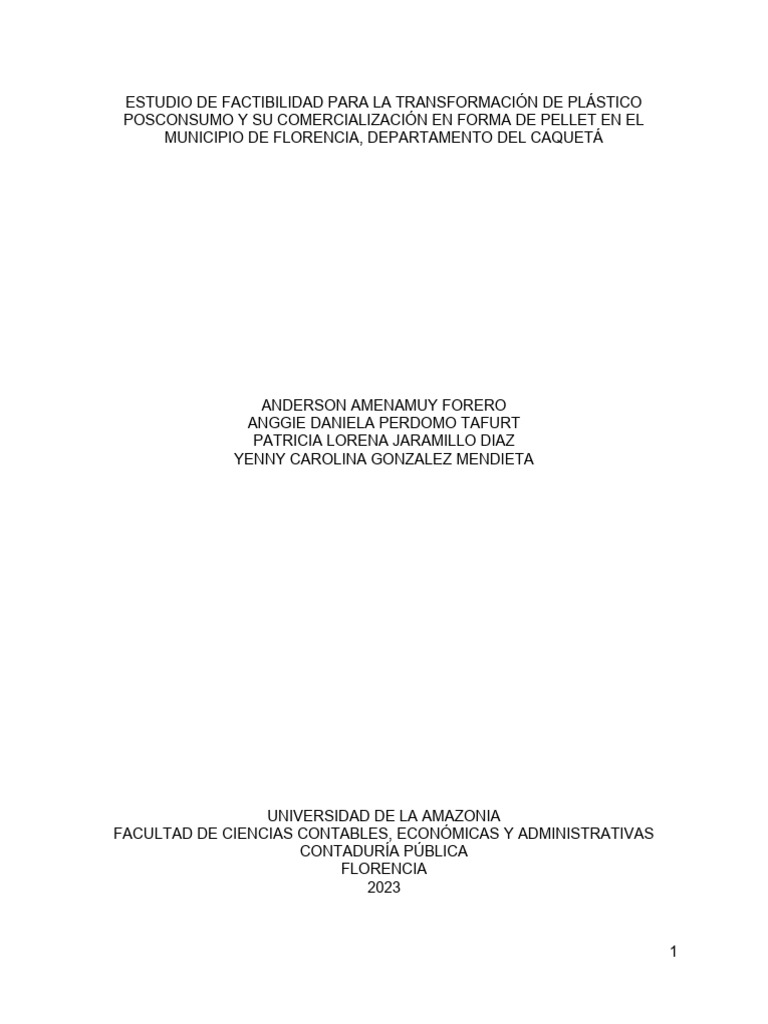 Estudio de Factibilidad | PDF | Residuos | El plastico