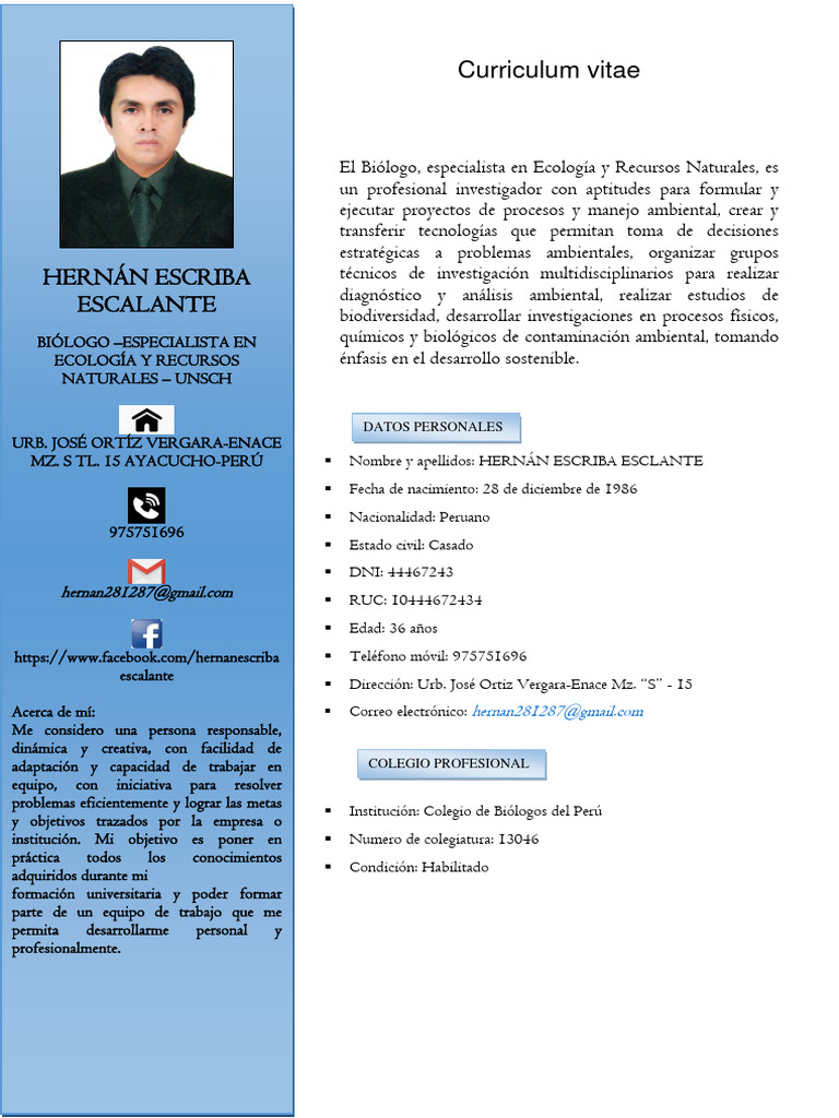 Cv. Blgo Hernan | PDF