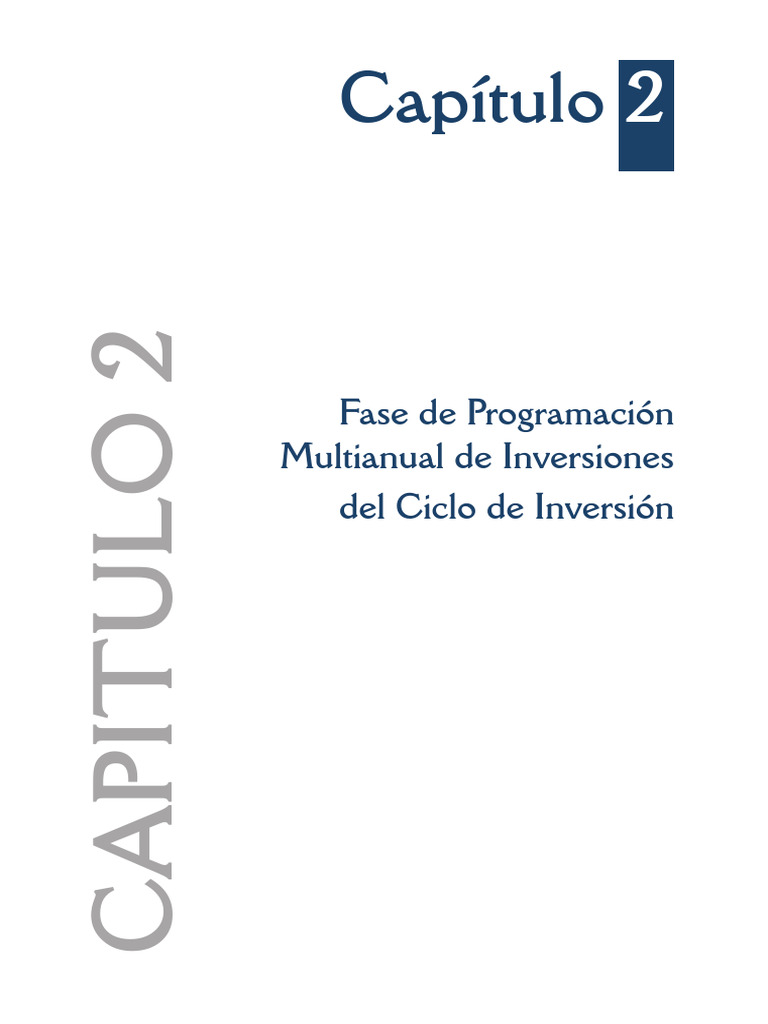 Cap.2. Fase Programacion Multianual de Inversiones | PDF | Infraestructura | Planificación