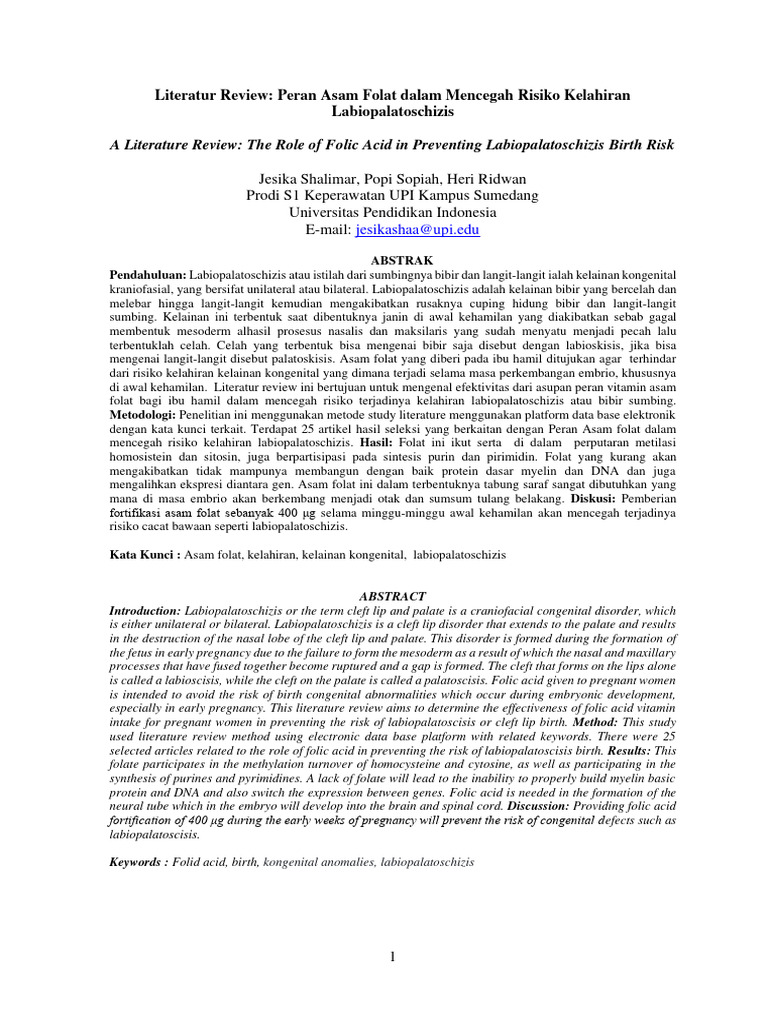 Manuscript IDDK - Jesika Shalimar | PDF