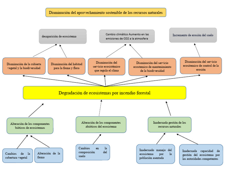 FEPA | PDF | Ciencia y matemáticas