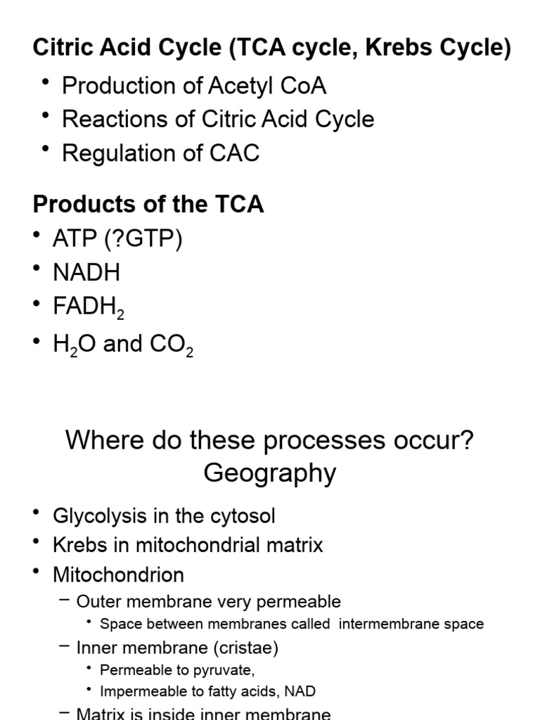 TCA Cycle | PDF | Diet & Nutrition | Chemistry