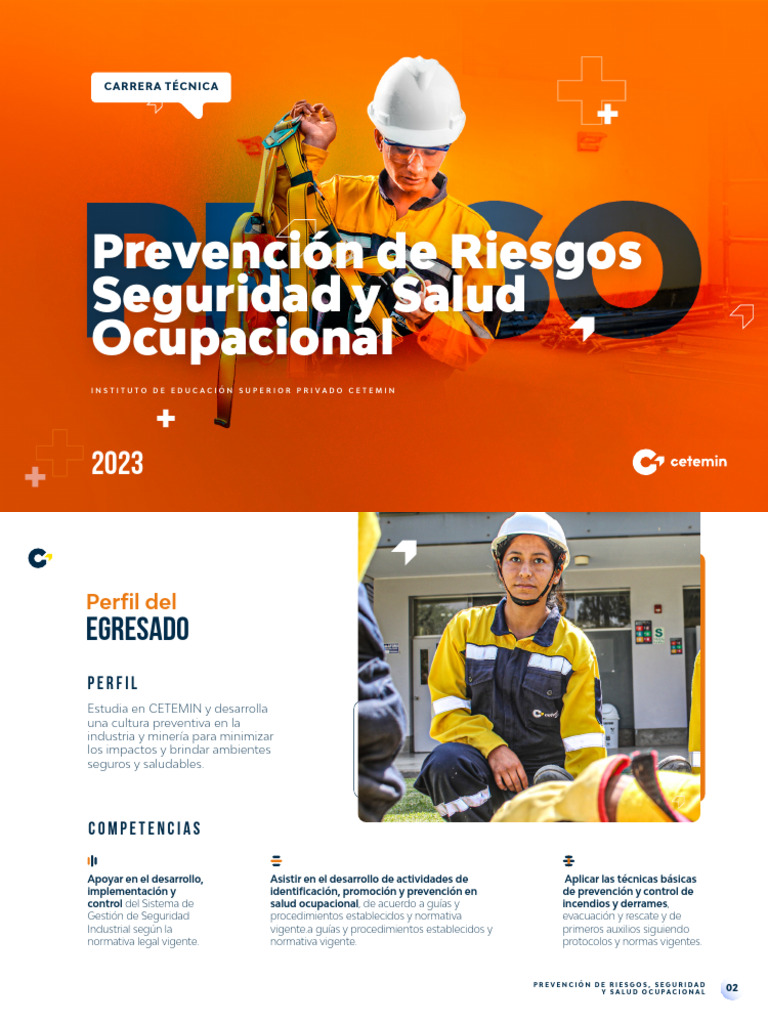 Brochure I PRSSO | PDF | Higiene Ocupacional | Seguridad y salud ocupacional