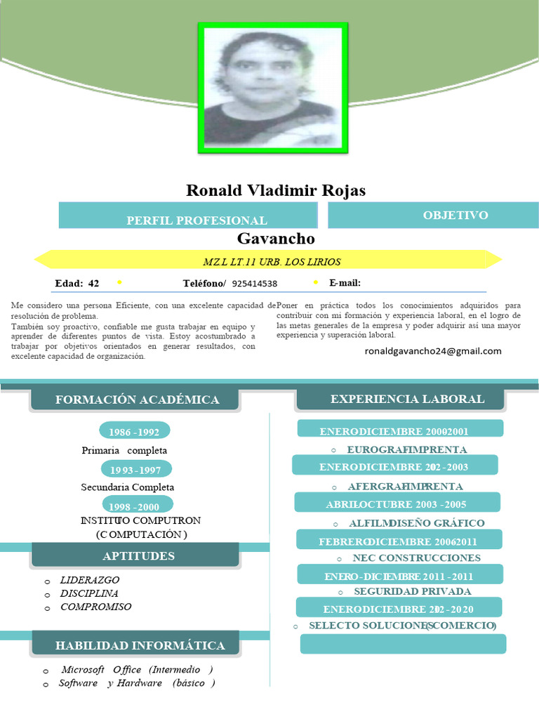 CV Ronald Rojas Gavancho1 | PDF | Informática