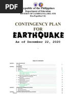 SDRRM Plan (Sample) - 1 | PDF | Emergency Management | Disaster Risk ...