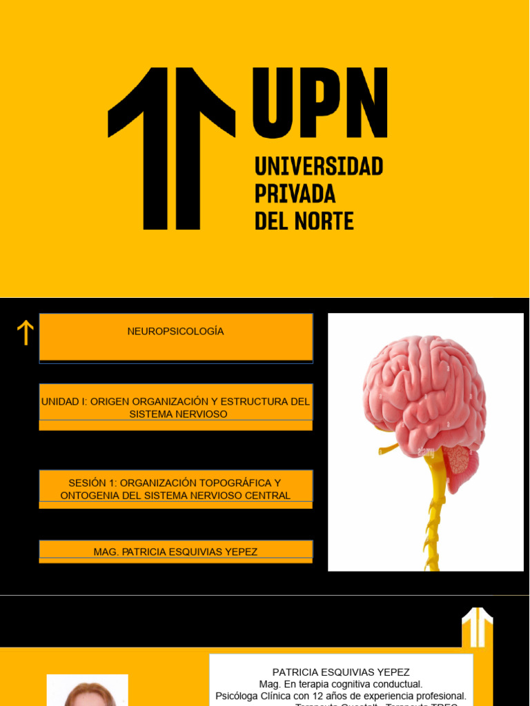 Sesión 1 | PDF | Embrión | Biología del desarrollo