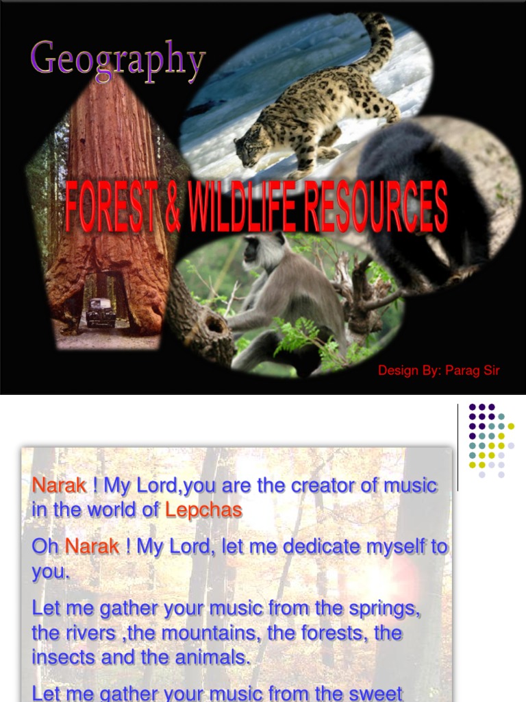 Presentation - Forest & Wildlife Class X | PDF | Tiger | Wildlife