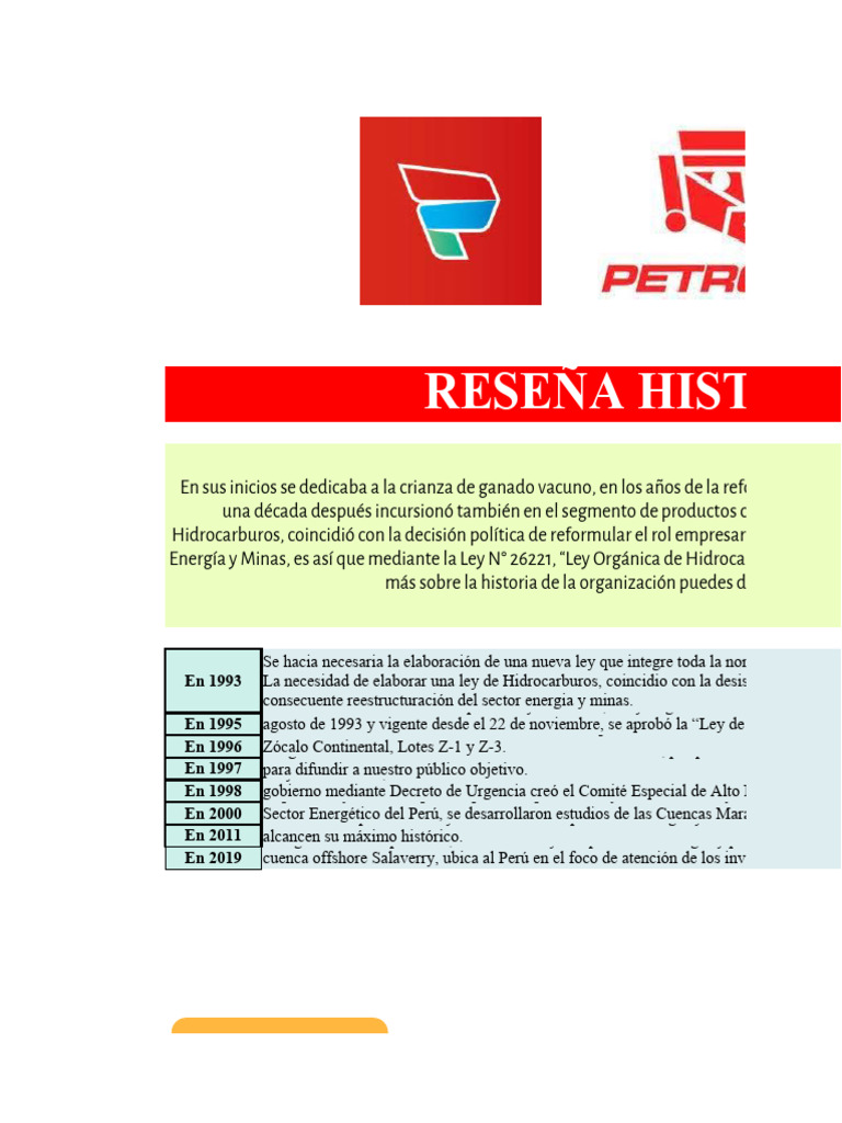 Caso Referencia PETRO PERU | PDF | Petróleo | Estado de resultados