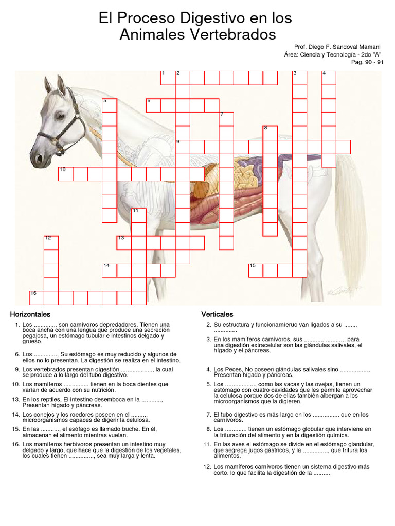 El Proceso Digestivo en Los Vertebrados | PDF | Digestión | Sistema digestivo humano