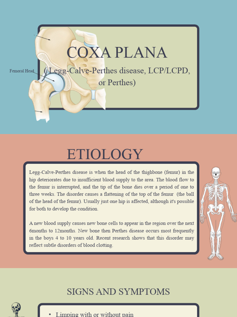 Coxa Plana | PDF | Nonsteroidal Anti Inflammatory Drug ...