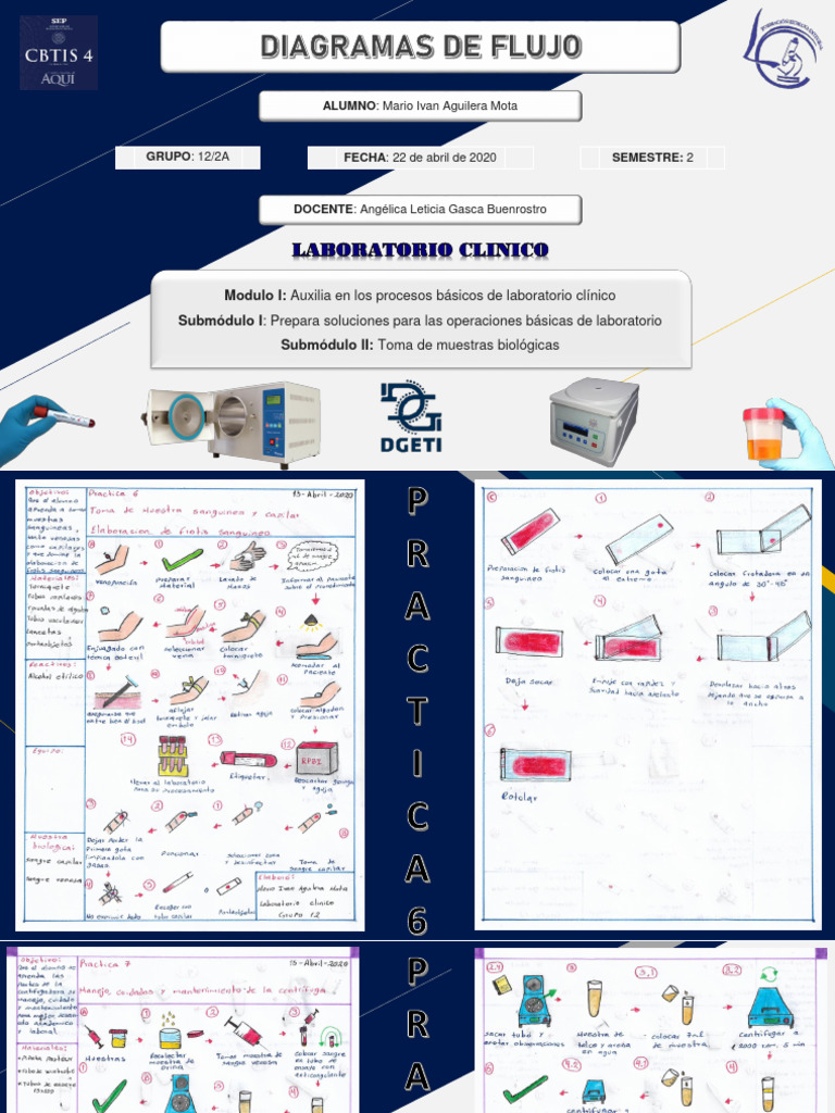 A6 - Aguilera Mota | PDF
