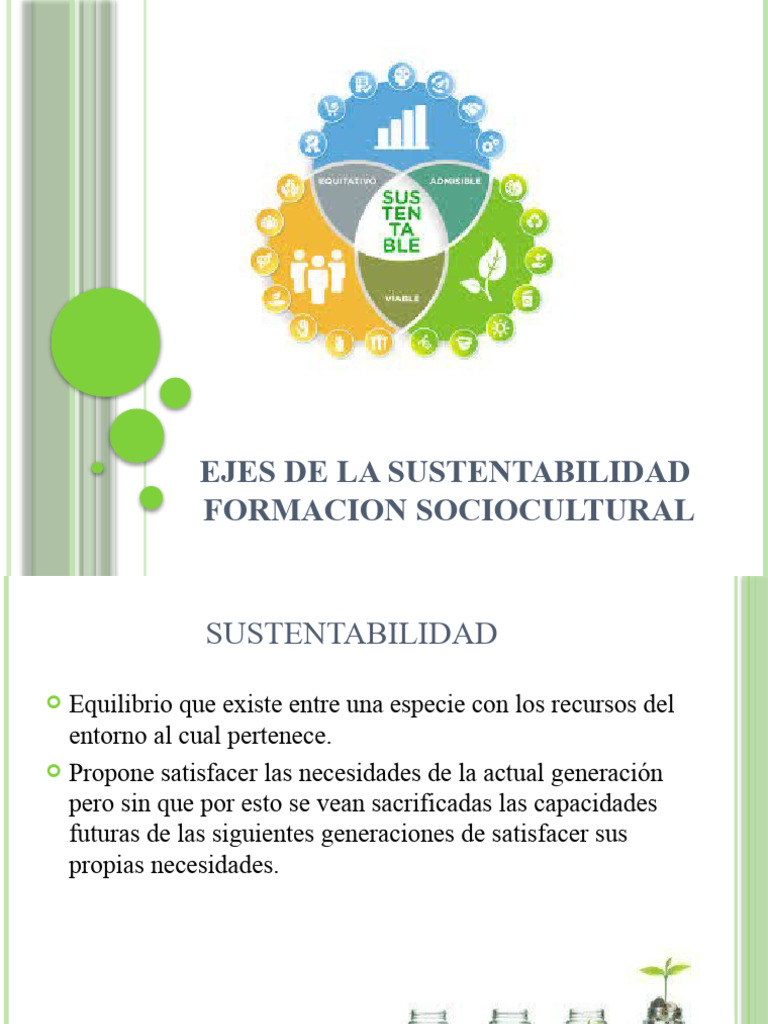 Ejes de La Sustentabilidad | PDF | Sustentabilidad | Residuos Ejes de La Sustentabilidad | PDF | Sustentabilidad | Residuos