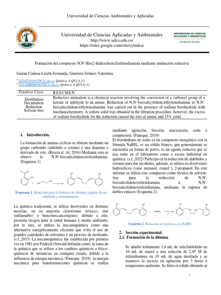 Informe - Aminación Reductiva - Amarillo | PDF | Redox | Moléculas