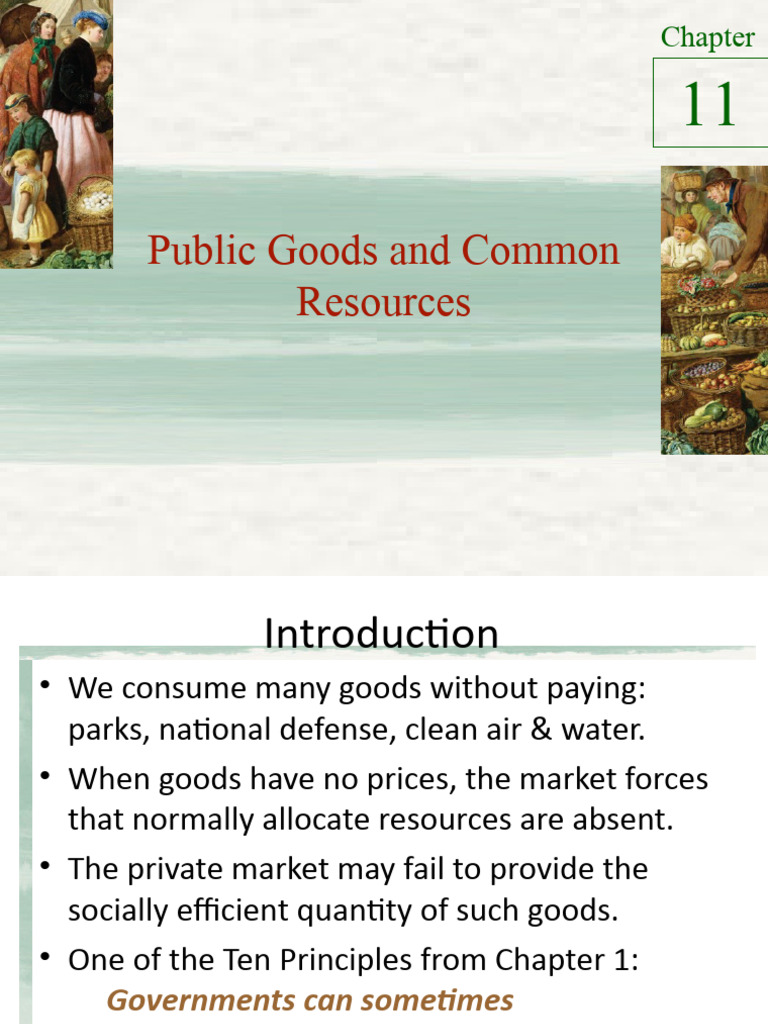 Public Goods vs Common Resources Explained | PDF | Goods | Externality