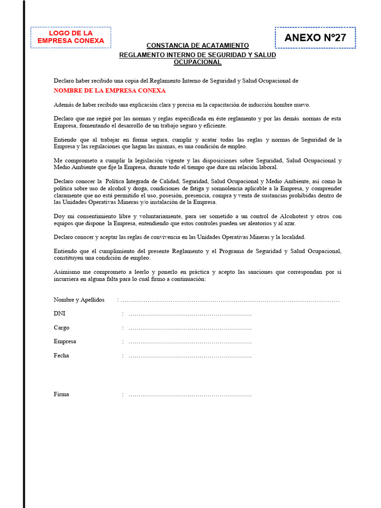Formato Anexo 27 Cargo Entrega Reglamento - Conexa | PDF | Seguridad y ...