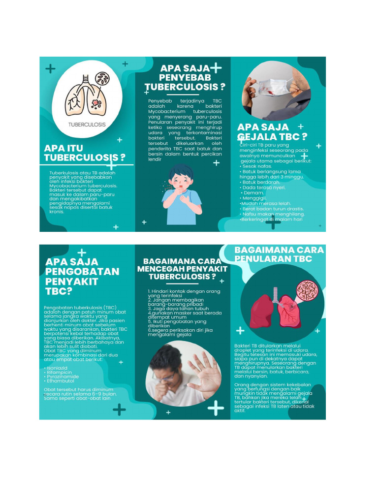 Leaflet Tuberculosis | PDF
