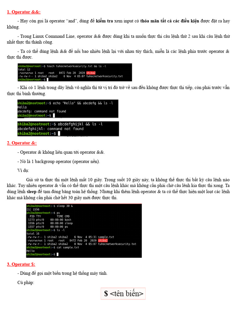 OPERATOR VÀ BA THỦ THUẬT KHI DÙNG LINUX CLI | PDF