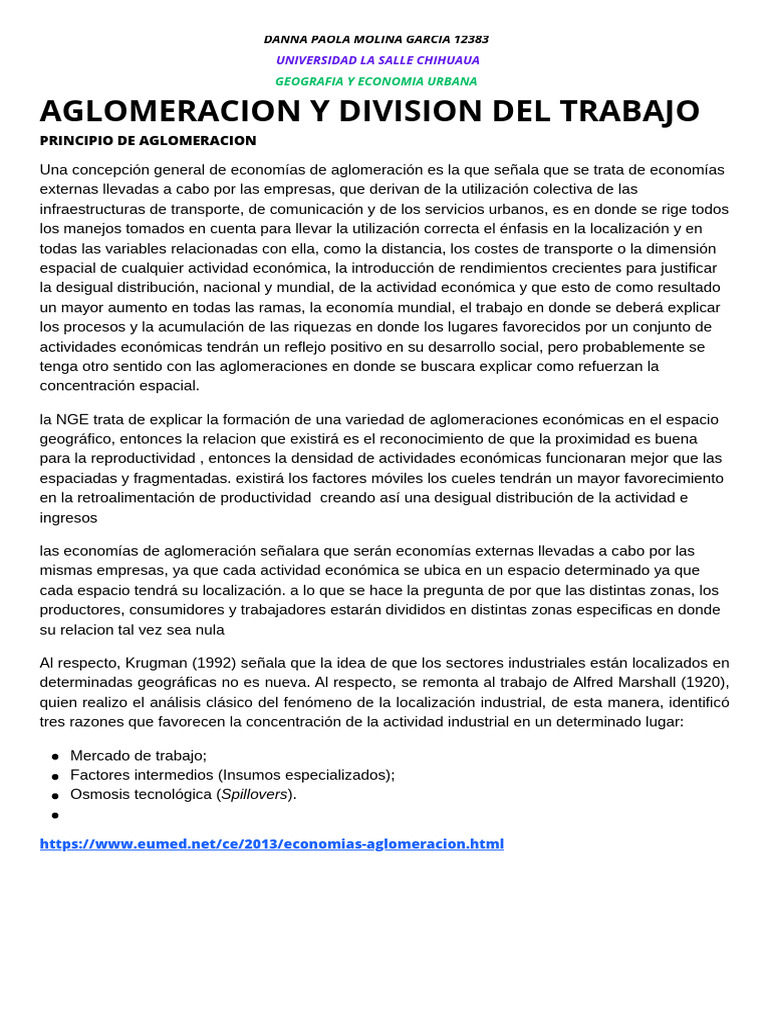 Aglomeracion y Division Del Trabajo 4 | PDF | Business | Ciencias ...