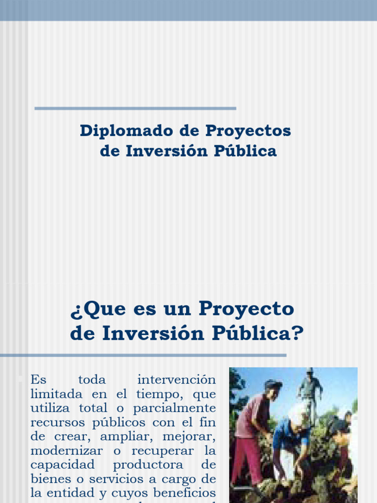 4 Manual Perfil Proyectos SNIP | PDF | Agricultura | Presupuesto