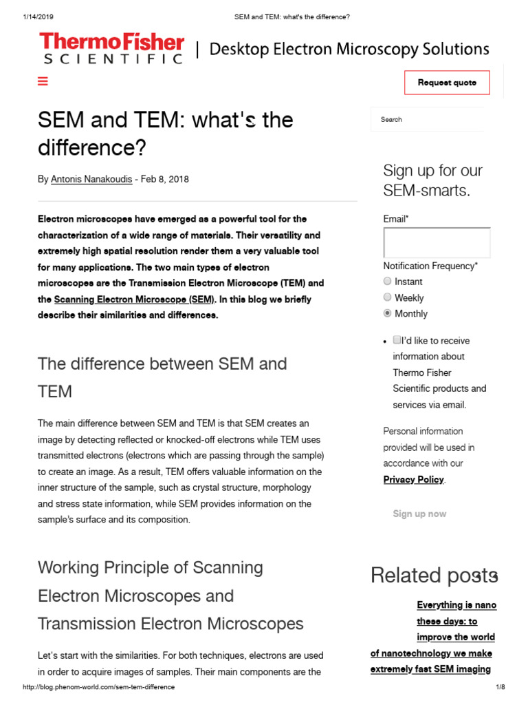 SEM and TEM - What's The Difference | PDF | Scanning Electron ...