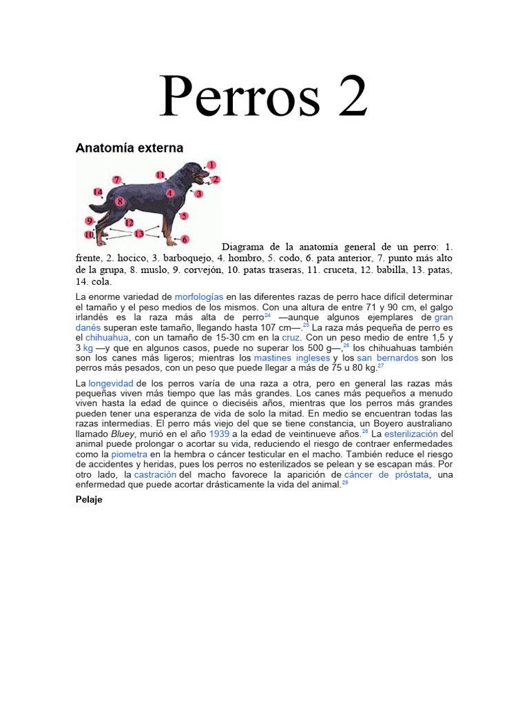 Perros 2 | PDF | Piel | Depredación