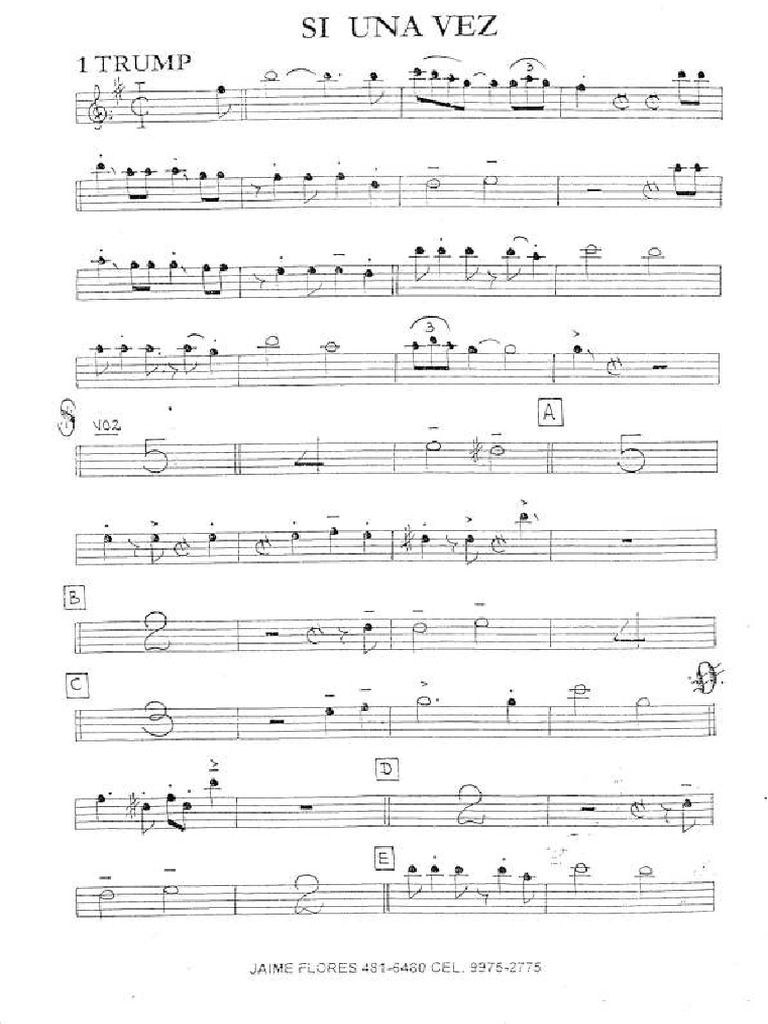 Selena - Si Una Vez | PDF