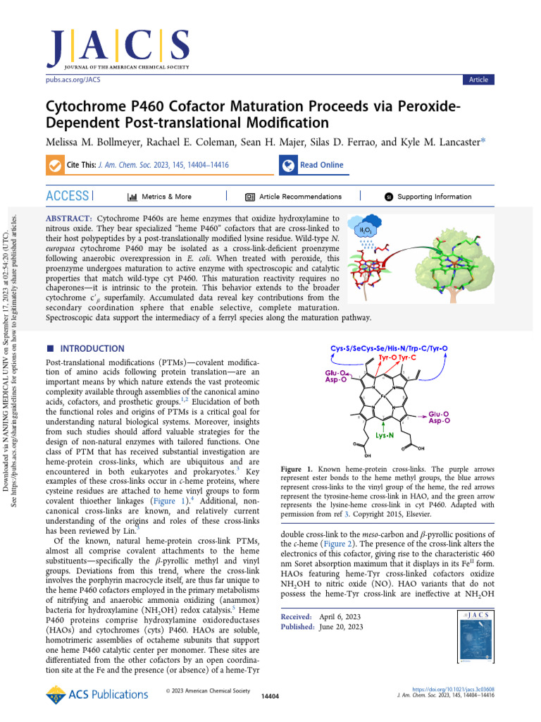 Cytochrome P460 Cofactor Maturation Proceeds Via PeroxideDependent Post-Translational ...