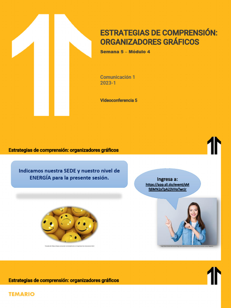 Etrategias de Comprensión, Organizadores Gráficos PDF | PDF | Anemia ...