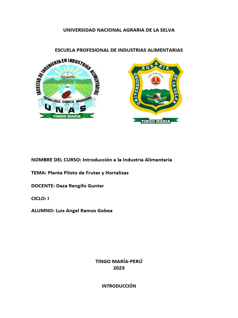 Trabajo 1 Fiia | PDF Trabajo 1 Fiia | PDF