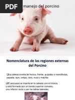 Raza Caprina Anglo-Nubian: Características y Cuidados | PDF | Cabra | Leche