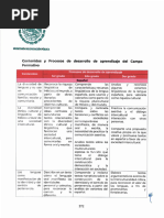 Español 2 SanTillana | PDF