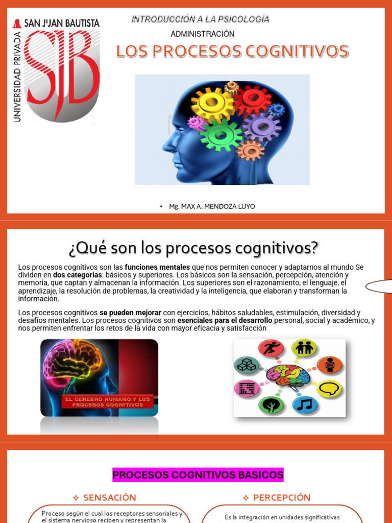 Los Procesos Cognitivos Pdf Percepción Pensamiento