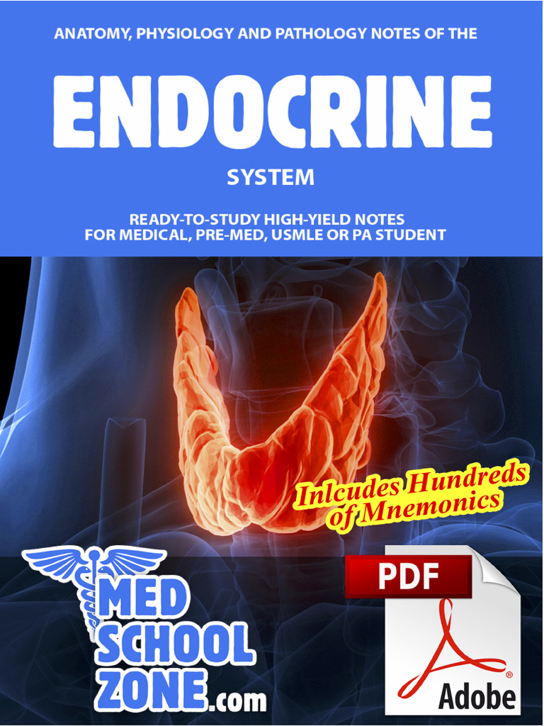 Endocrine System | PDF | Endocrine System | Hormone