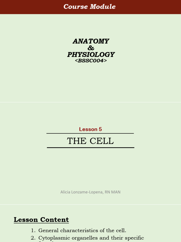 5 - A&P The Cell | PDF | Cell (Biology) | Cell Nucleus