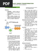 Answer Key Cellular Respiration Pogil | PDF | Cellular Respiration ...
