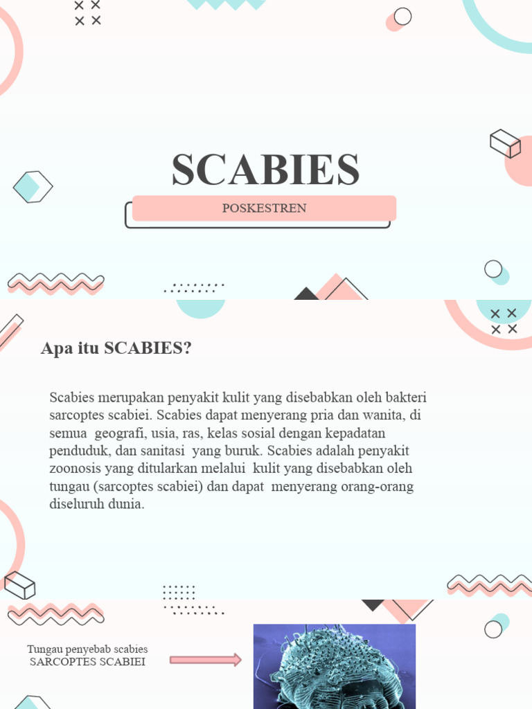Scabies | PDF