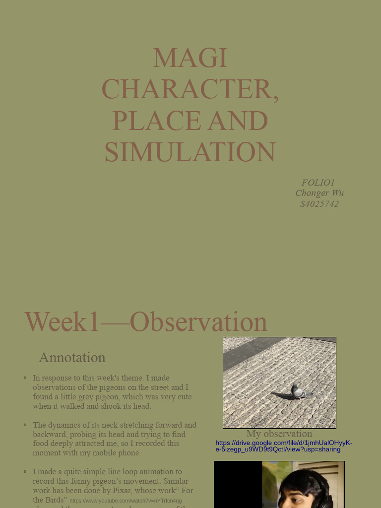 Magi Character, Place and Simulation: Folio1 Chonger Wu S4025742 | PDF