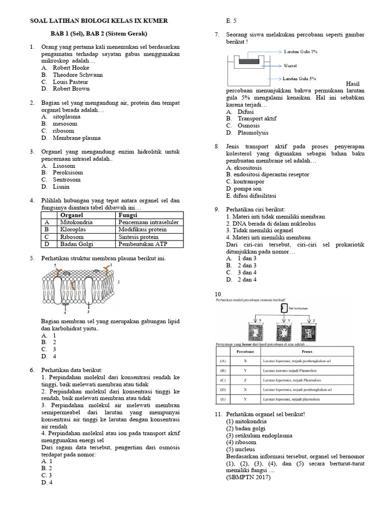 Soal Sel Dan Sistem Gerak Kelas 11 | PDF
