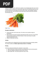 Carrots | PDF | Carrot | Agriculture