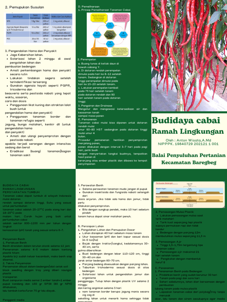 Anton Leaflet Cabai | PDF